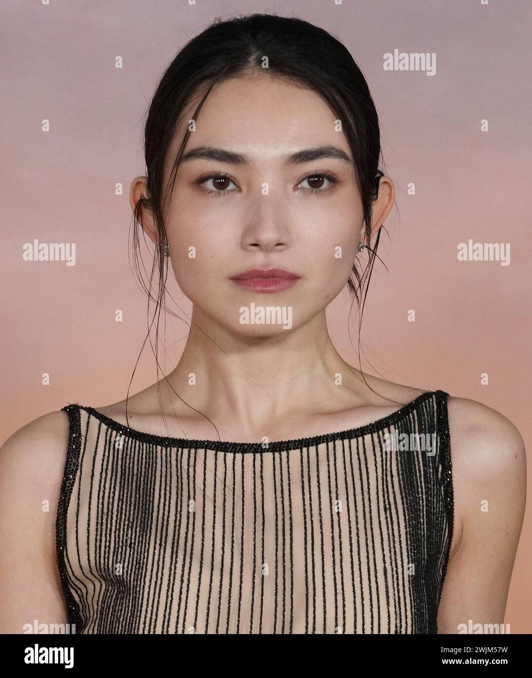 Los Angeles, USA. 15th Feb, 2024. Maria Zhang arrives at the Netflix's ...