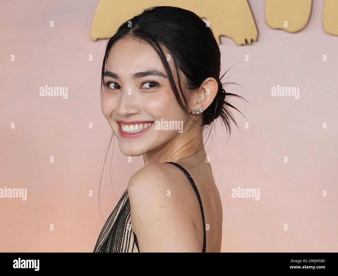 Los Angeles, USA. 15th Feb, 2024. Maria Zhang arrives at the Netflix's AVATAR: THE LAST ...