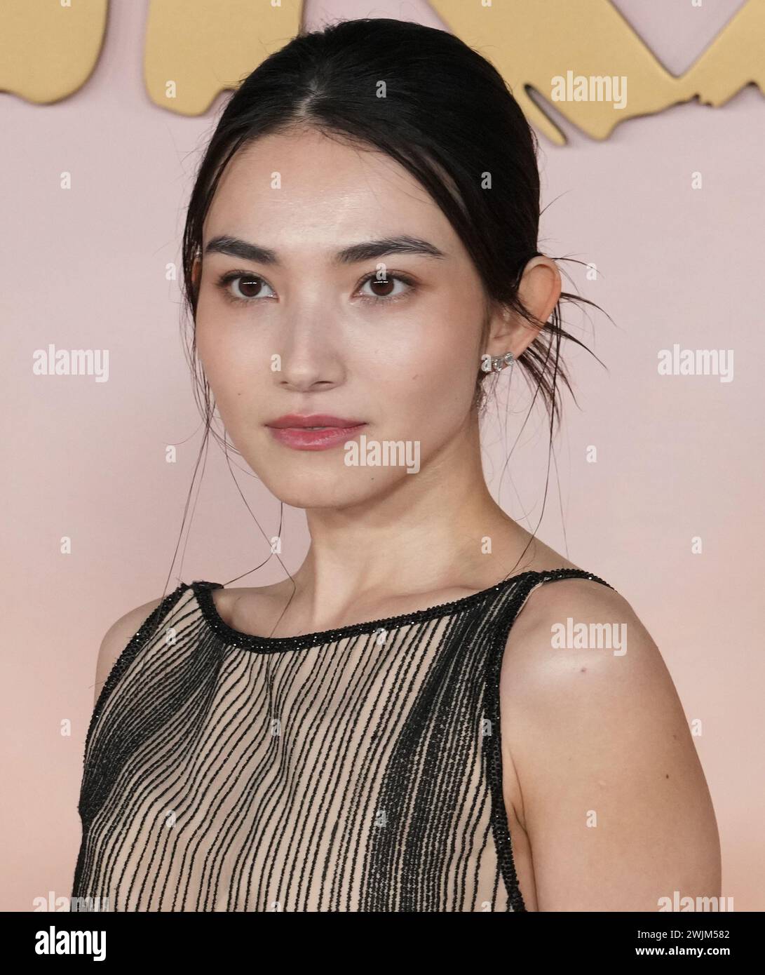 Los Angeles, USA. 15th Feb, 2024. Maria Zhang arrives at the Netflix's ...