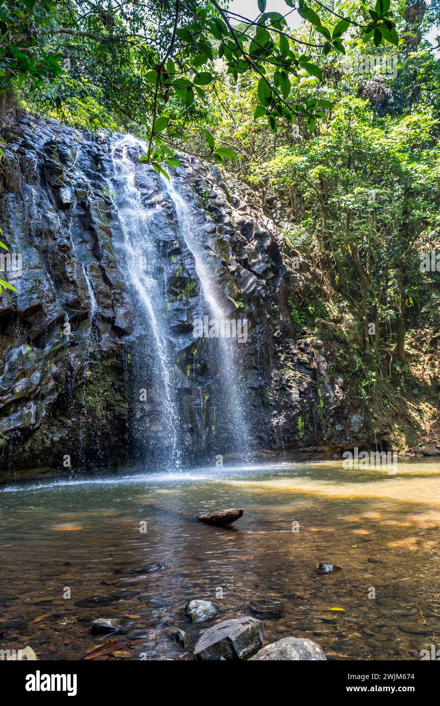 Milla Milla Falls, Atherton Tablelands, Queensland, Australia Stock ...