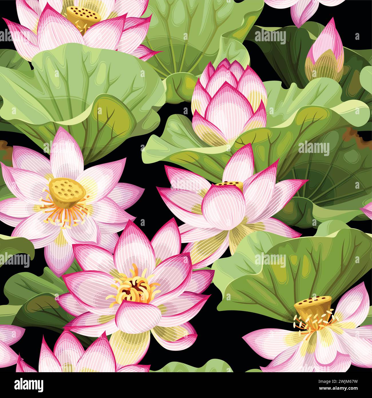 Lotus essence hi-res stock photography and images - Alamy