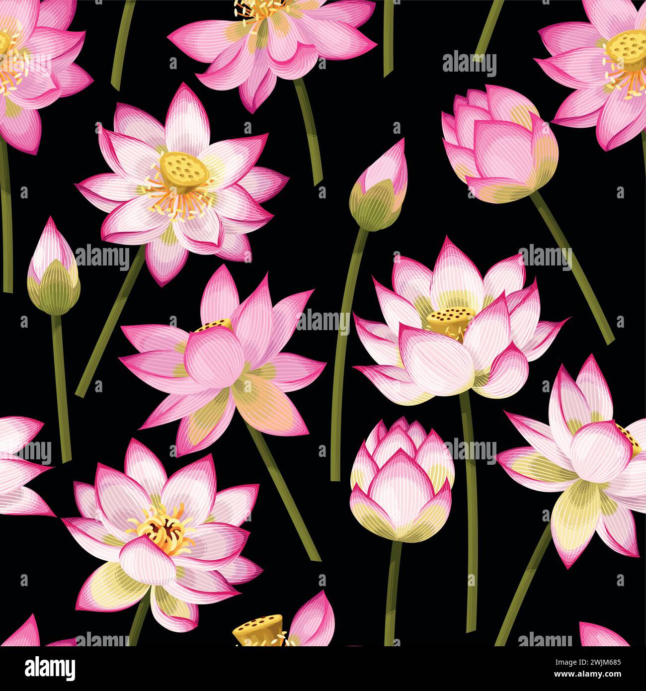 Lotus essence hi-res stock photography and images - Alamy
