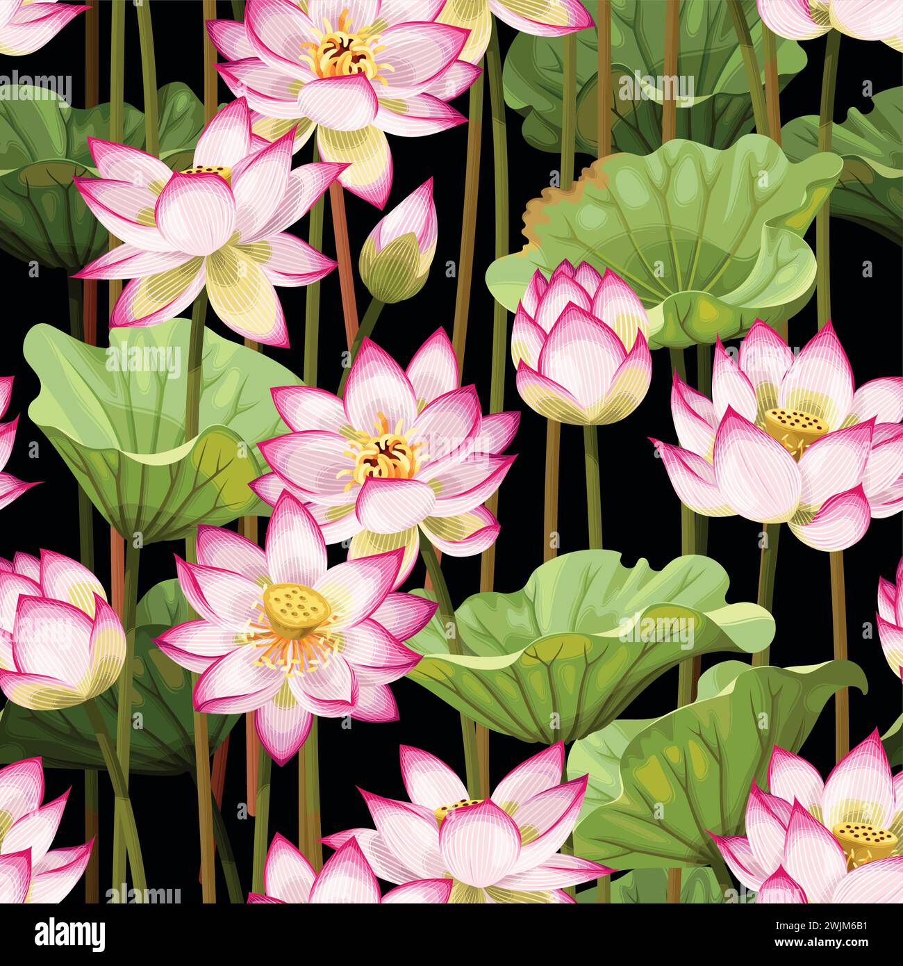 Seamless pattern with lotus flowers Stock Vector Image & Art - Alamy