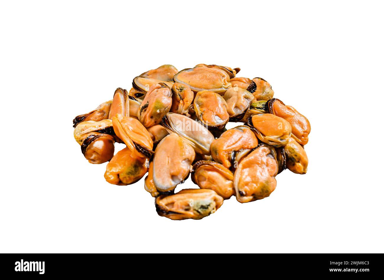 Fresh raw mussel meat Isolated on white background. Top view Stock ...