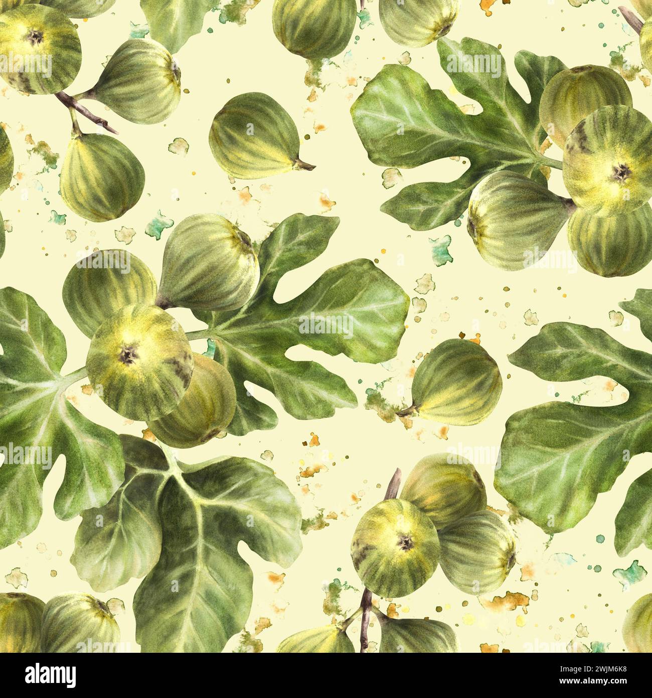 Branch of juicy, ripe green figs with leaves and whole fruit Food ...