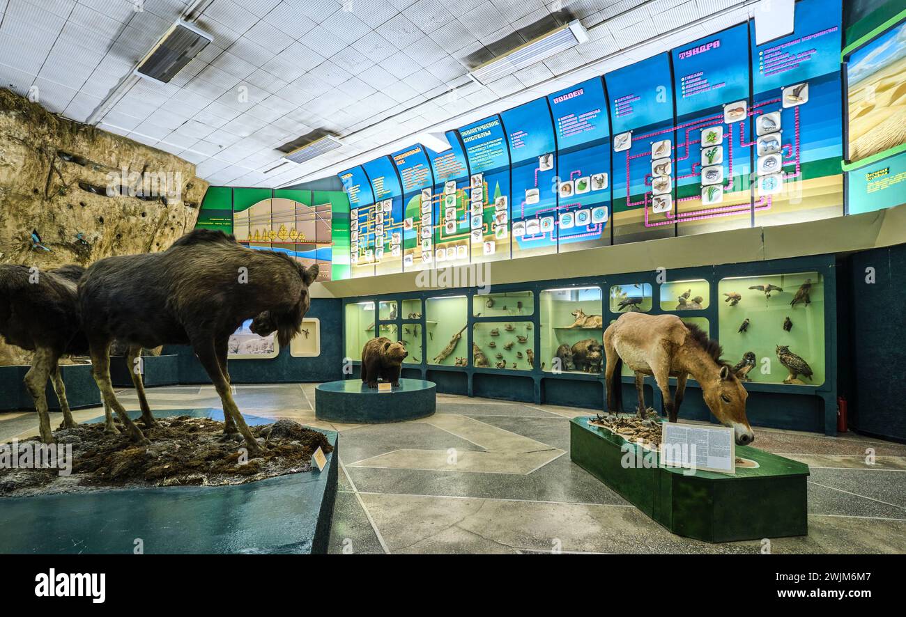 An overview look at the gallery, display, exhibit space with large flow ...