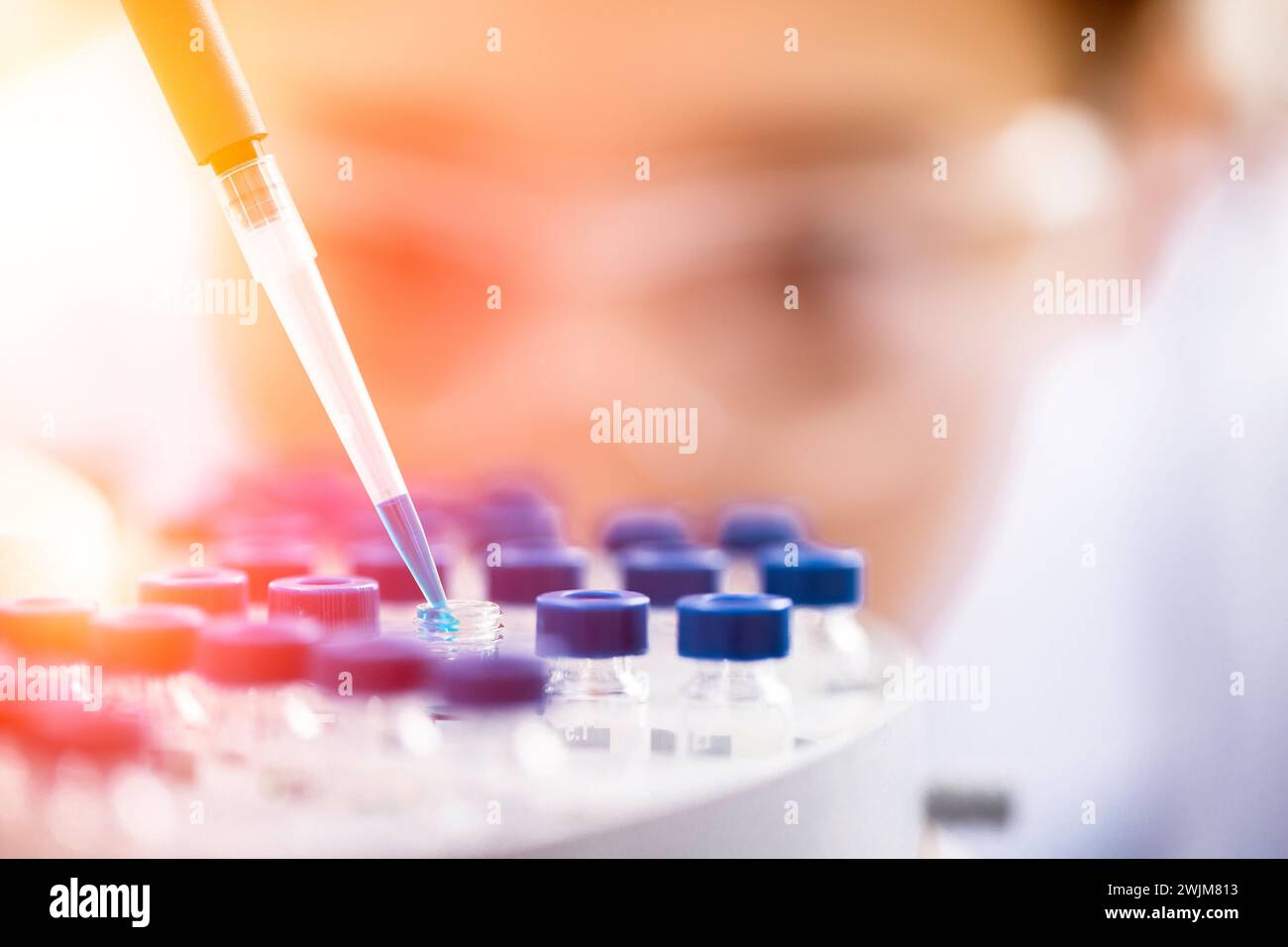 Female chemist at work in laboratory Stock Photo - Alamy