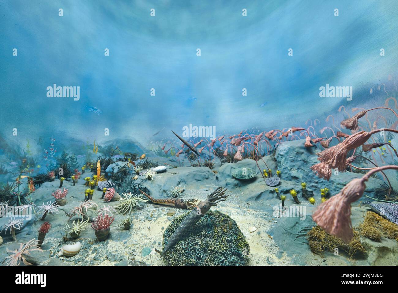 A recreation of an early evolution scene of underwater life, including ...