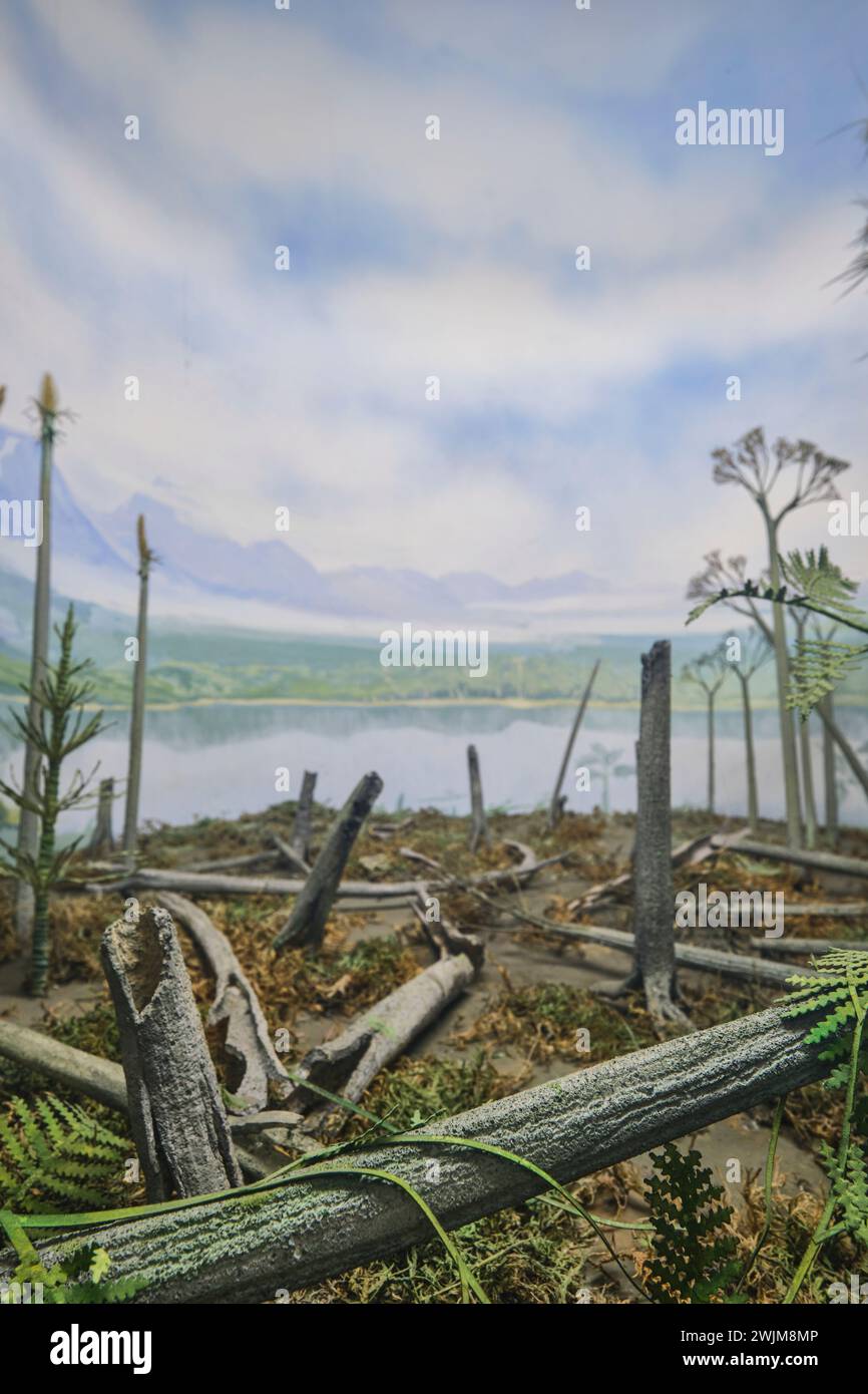 A recreation of early evolution life developing at a watery marsh ...