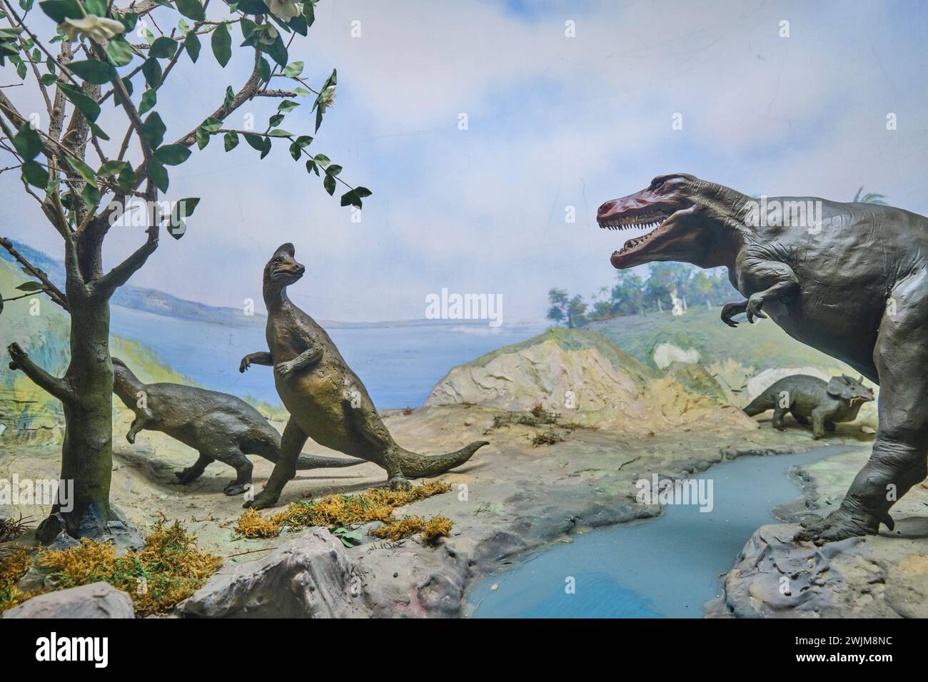 A recreation of a T-Rex dinosaur, chasing another dinosaur. A diorama ...