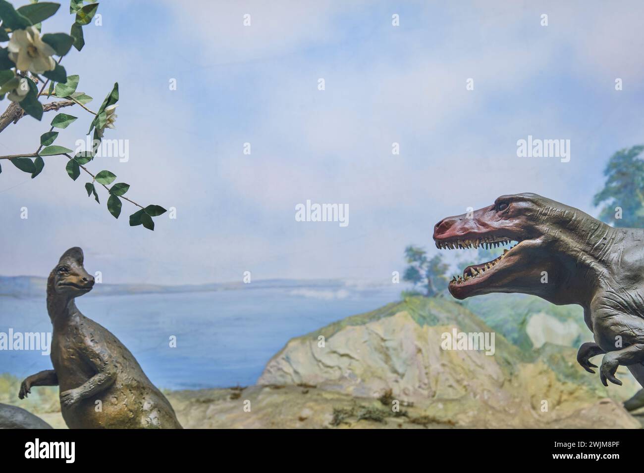 A recreation of a T-Rex dinosaur, chasing another dinosaur. A diorama ...