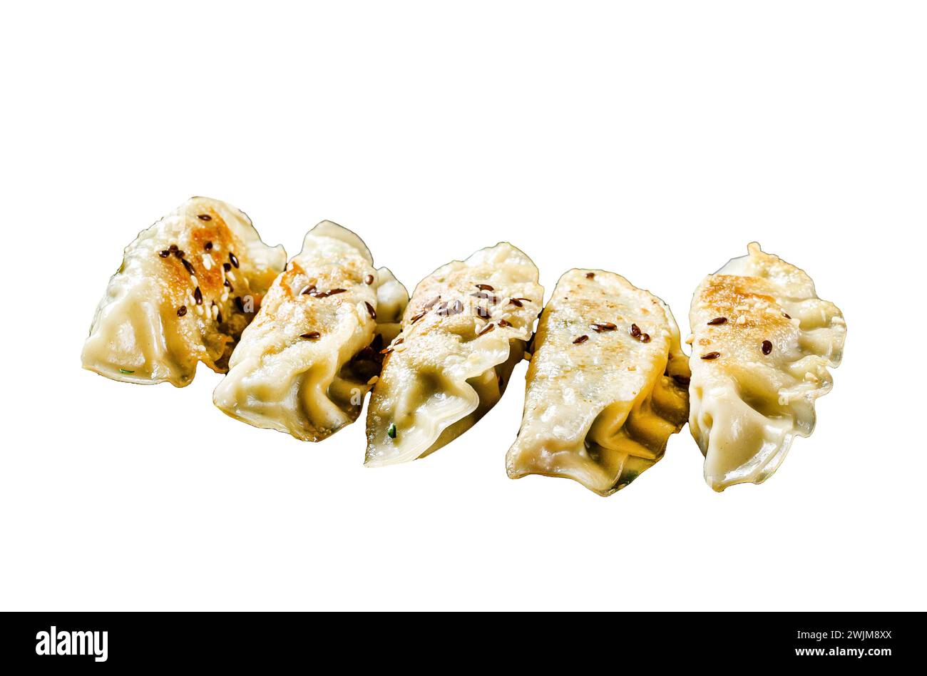 Pork Potstickers on rustic black table. Dim sum Isolated on white ...