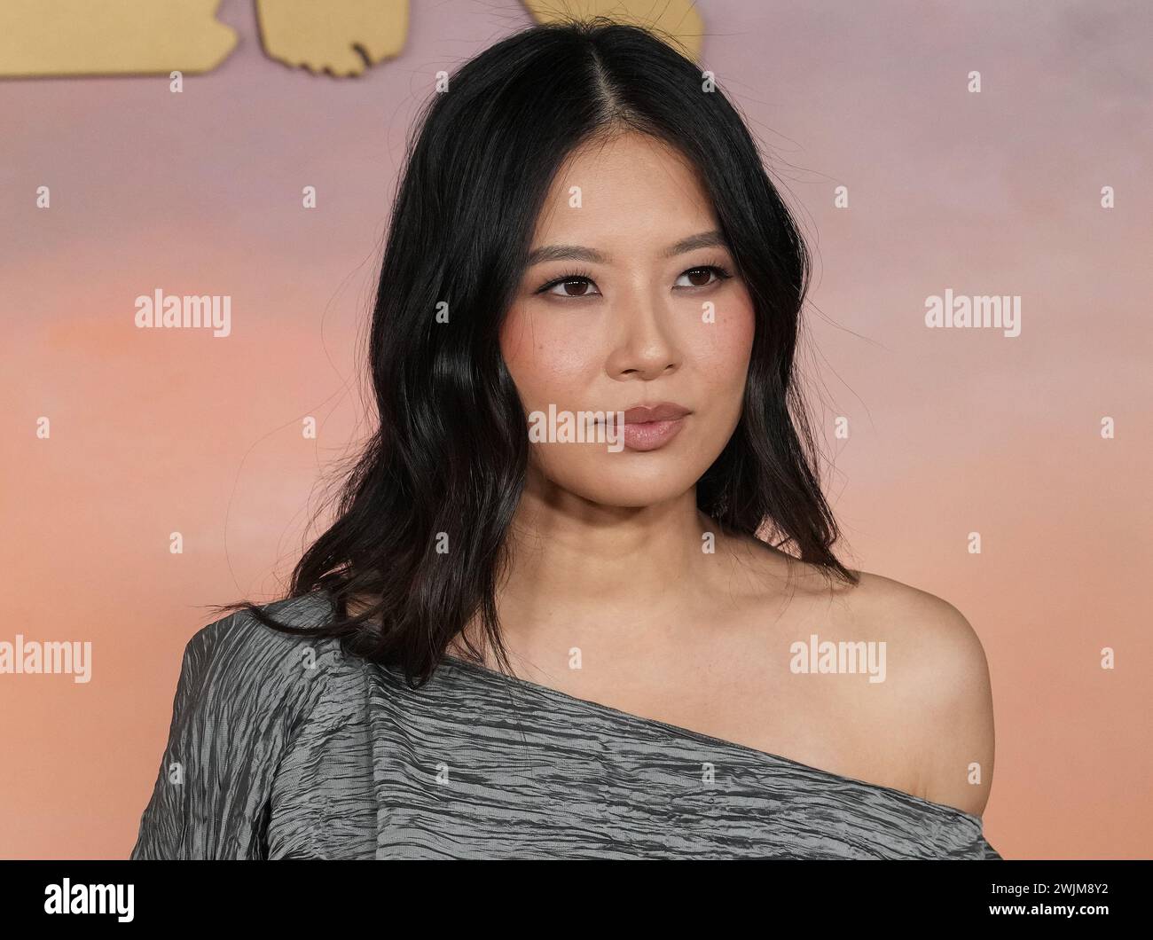 Los Angeles, USA. 15th Feb, 2024. Christine Ko arrives at the Netflix's ...