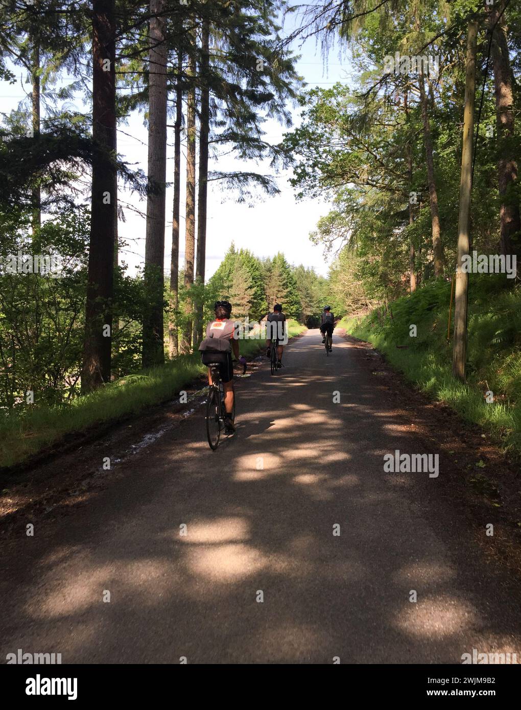 People cycle on the countryside traffic free bike routes of the ...
