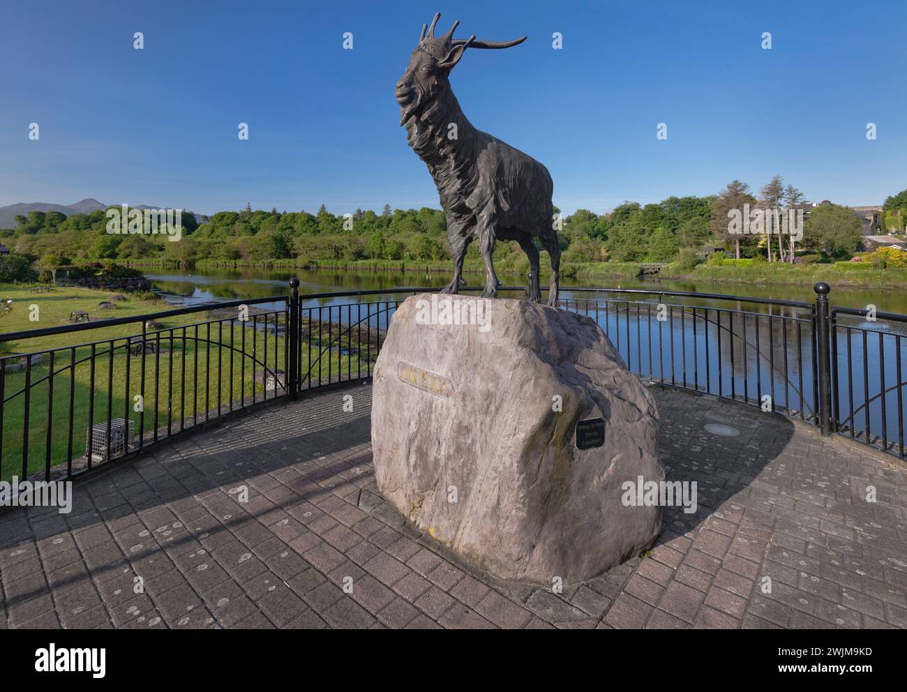Kerry goat hi-res stock photography and images - Alamy