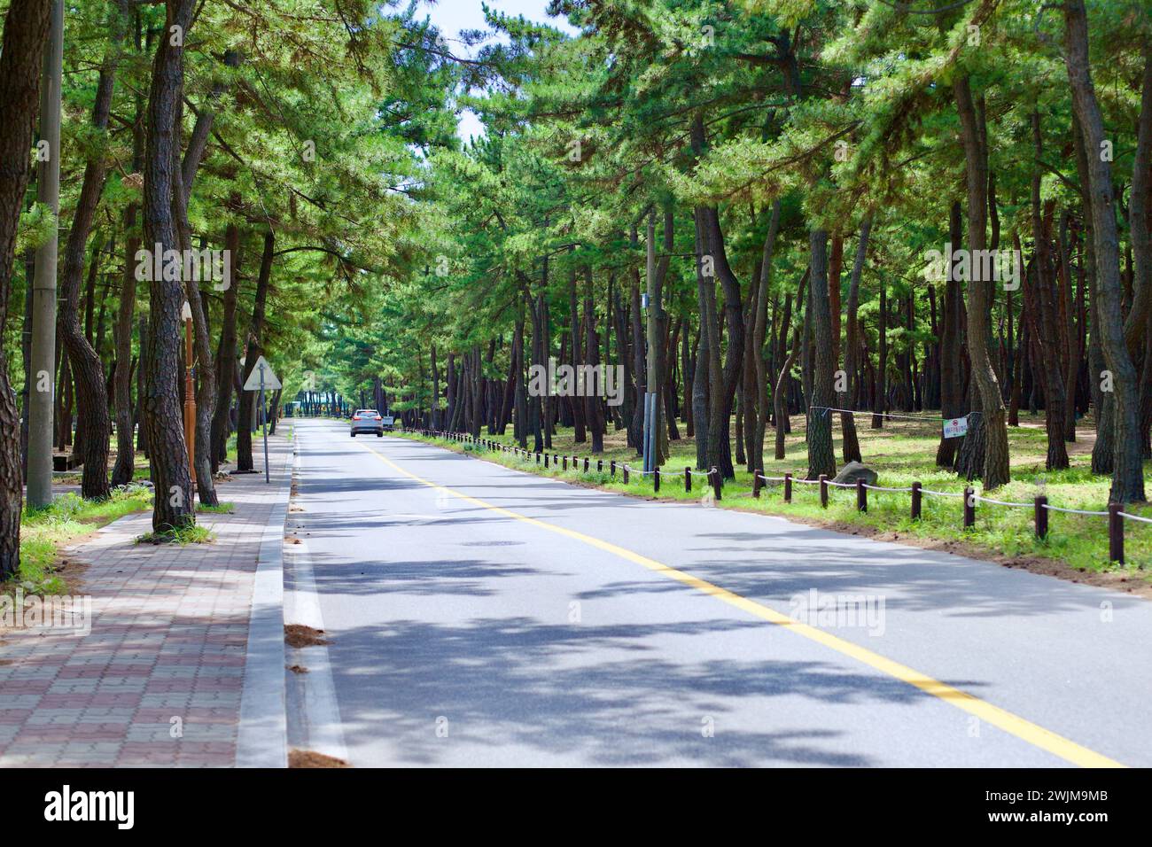 Gangneung City, South Korea - July 29th, 2019: A car travels on a two ...