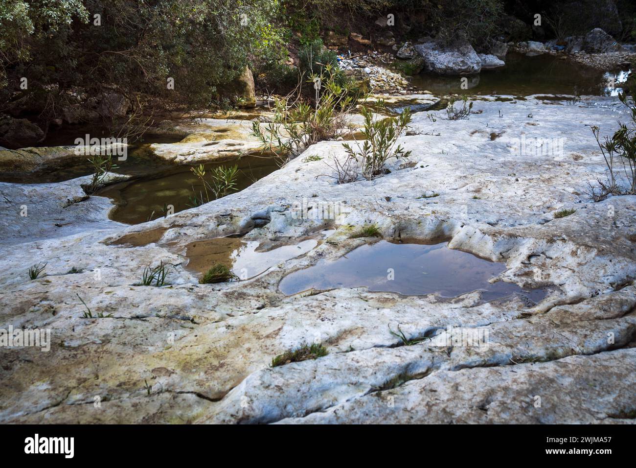 Oren mount carmel hi-res stock photography and images - Alamy