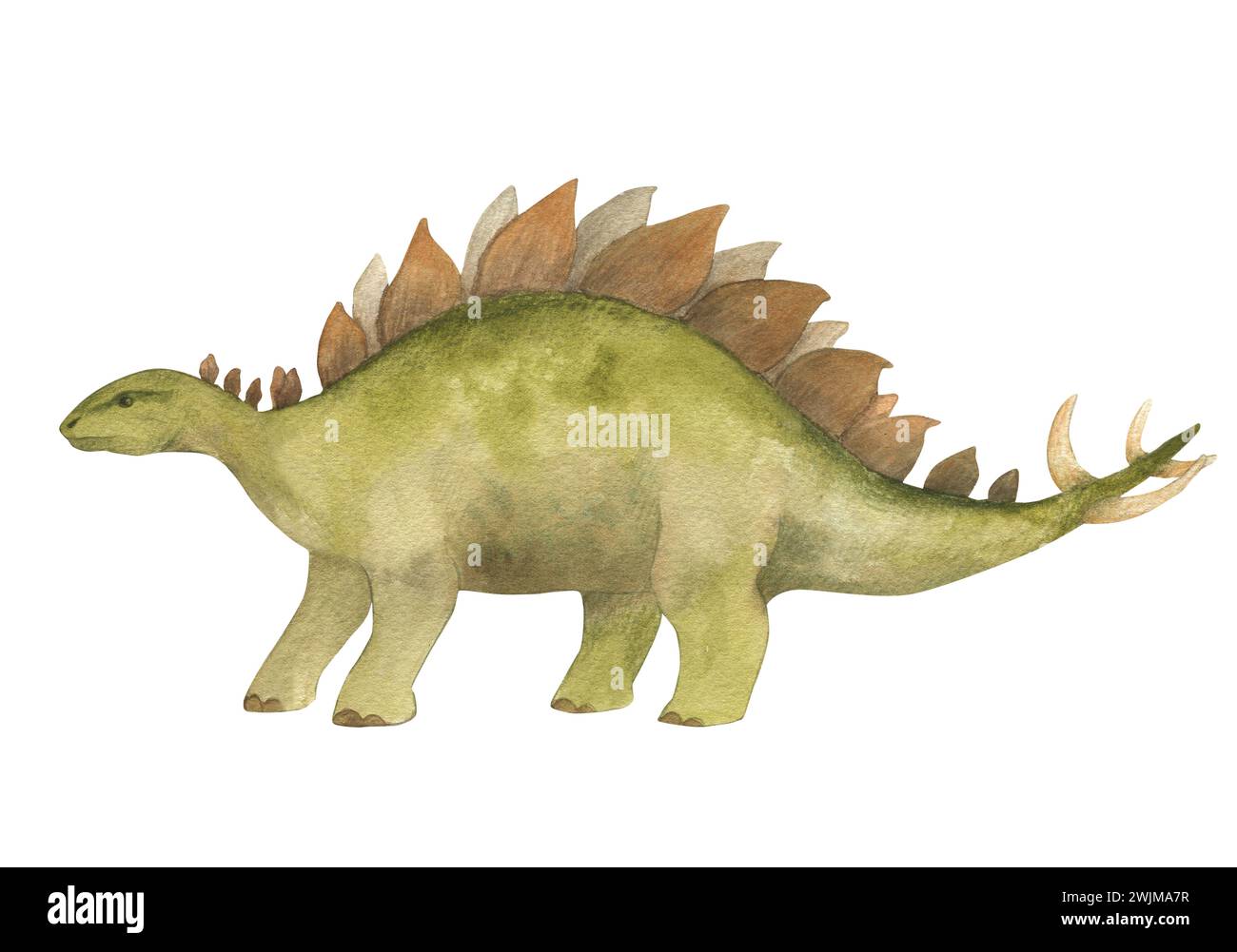 Watercolor illustration of a dinosaur stegosaurus, watercolor texture ...
