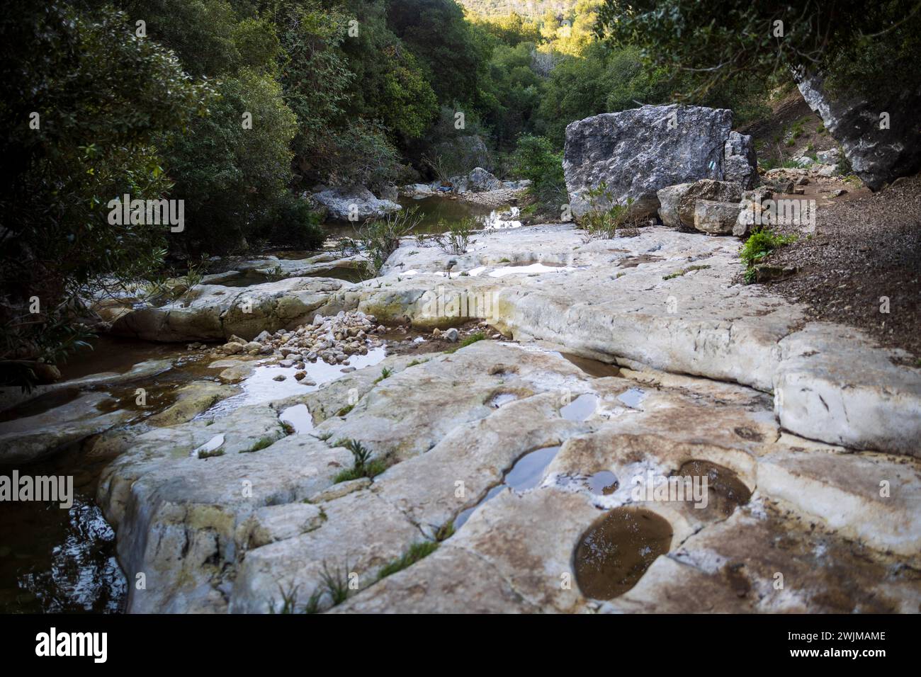 Oren mount carmel hi-res stock photography and images - Alamy
