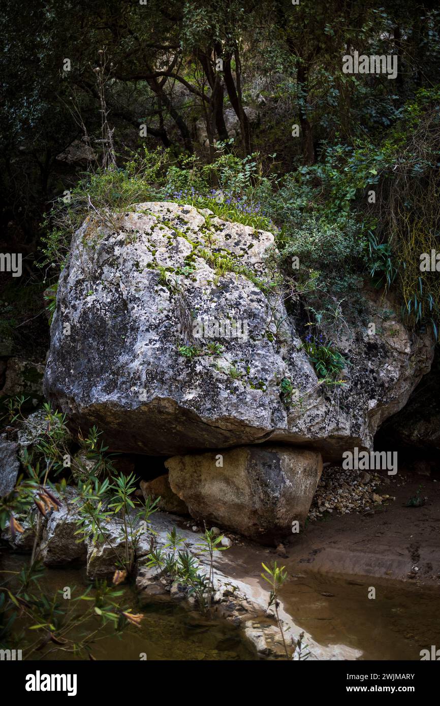 The mouth of the Oren stream on Mount Carmel in Israel with natural ...