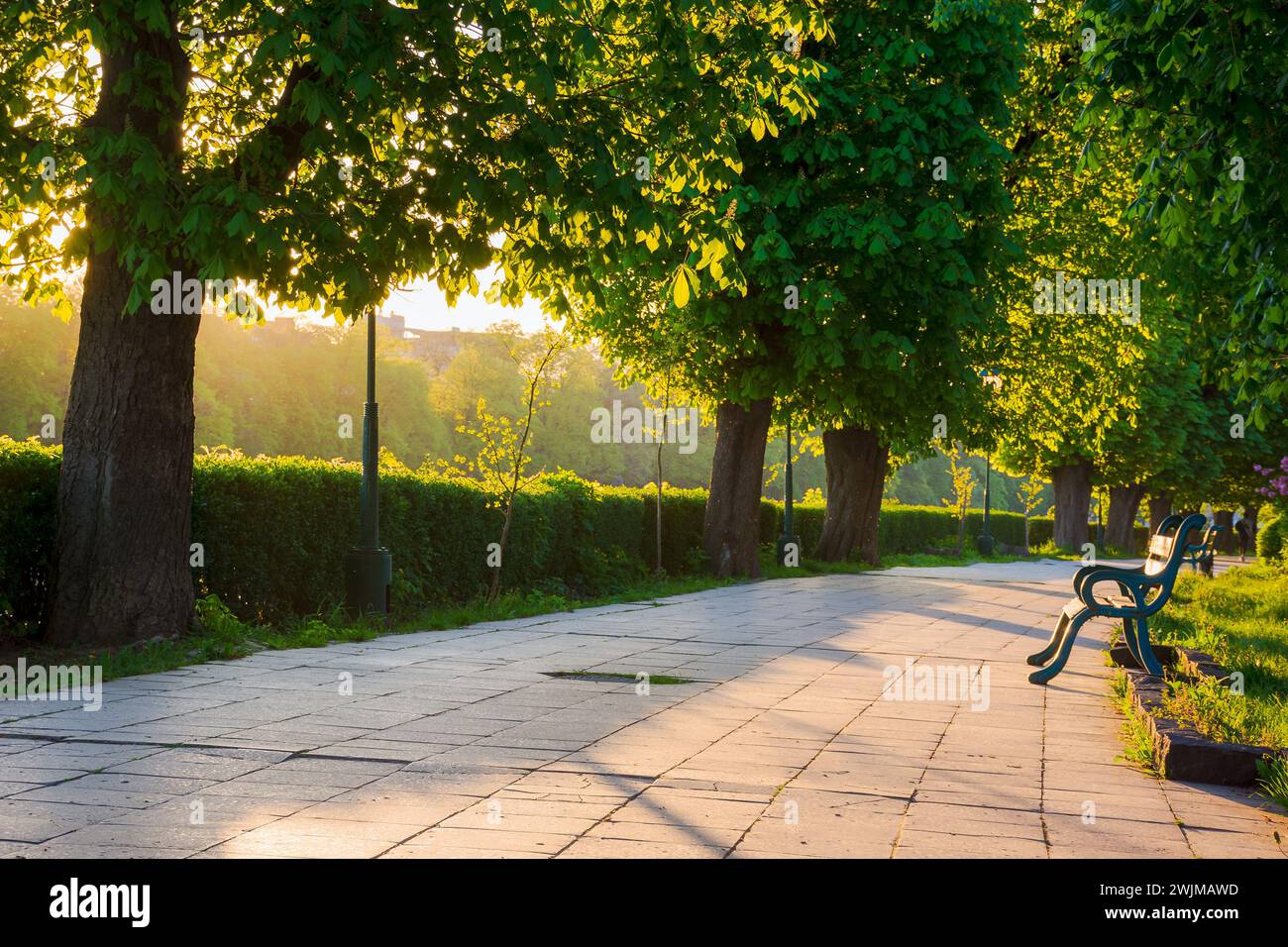 Alley bench view hi-res stock photography and images - Alamy