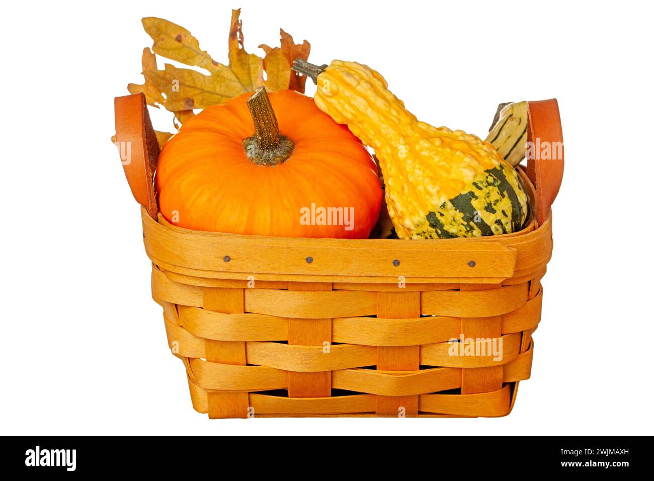 Pumpkin and gourds packed into a basket with autumn colored leaves ...