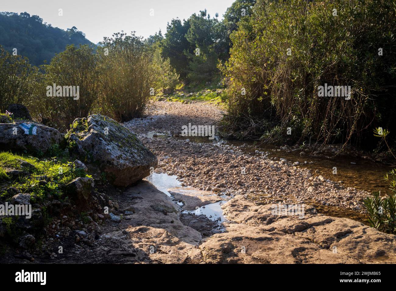 Oren mount carmel hi-res stock photography and images - Alamy