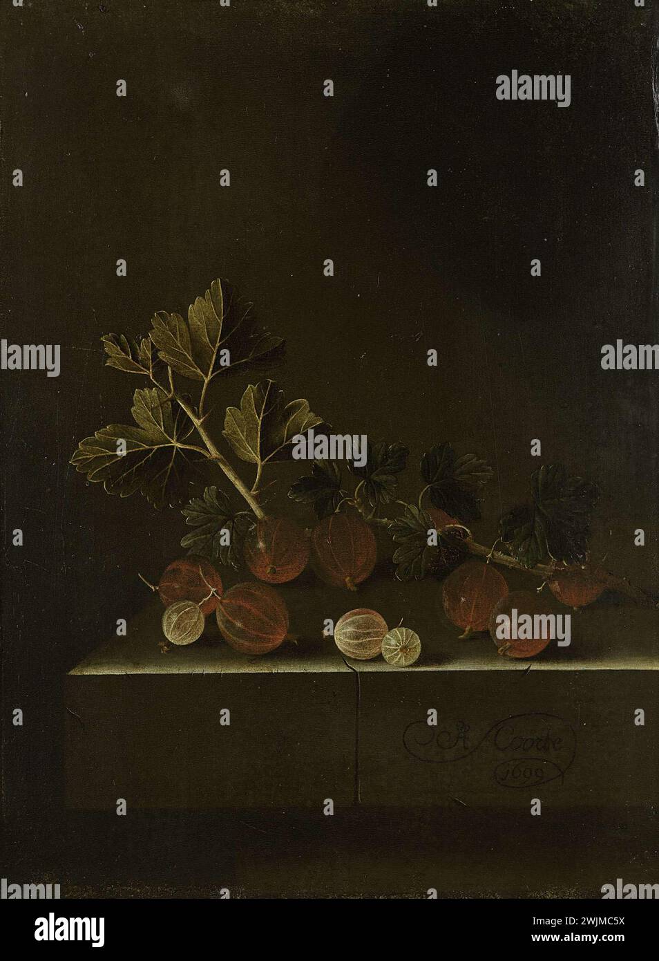 Adriaen Coorte Still life Dutch Golden Age painter of still lifes, who ...
