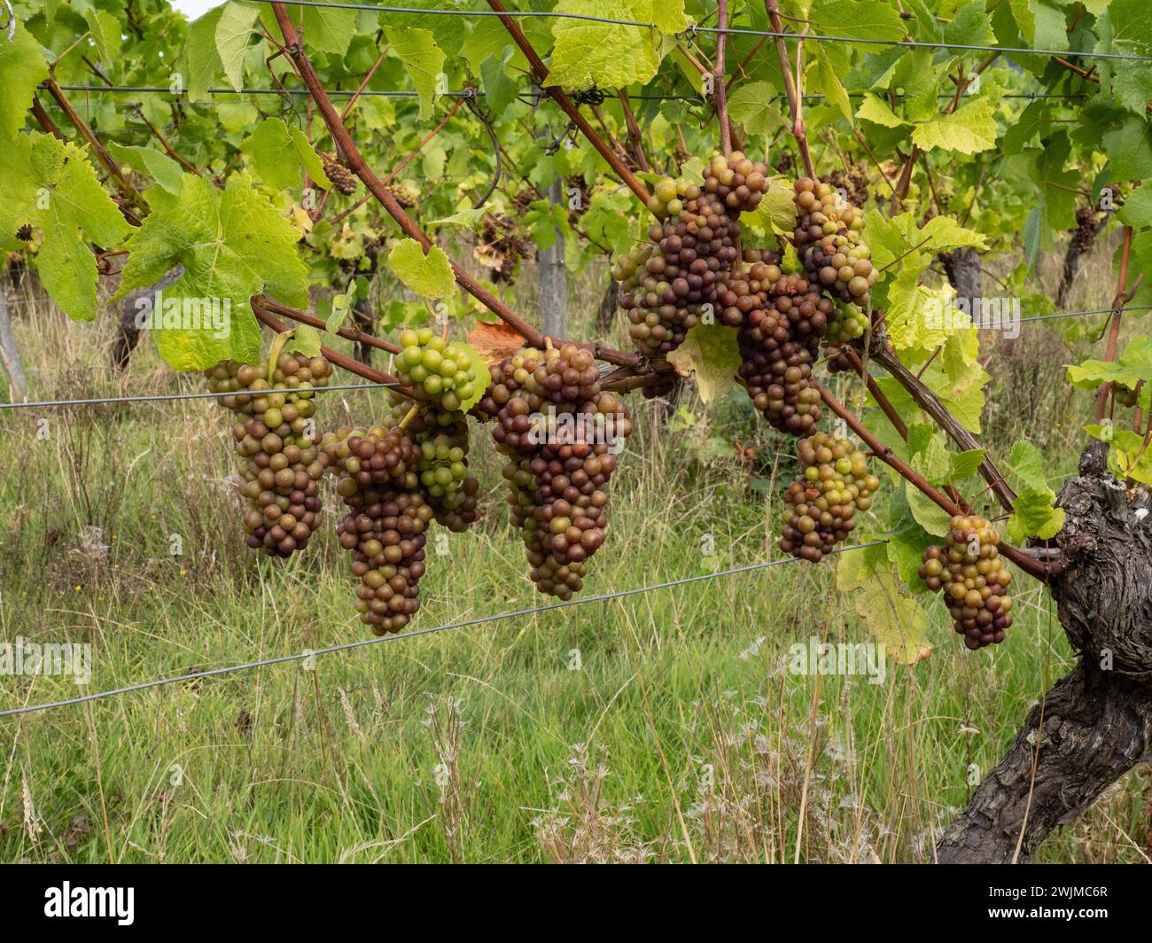 John denby hi-res stock photography and images - Alamy