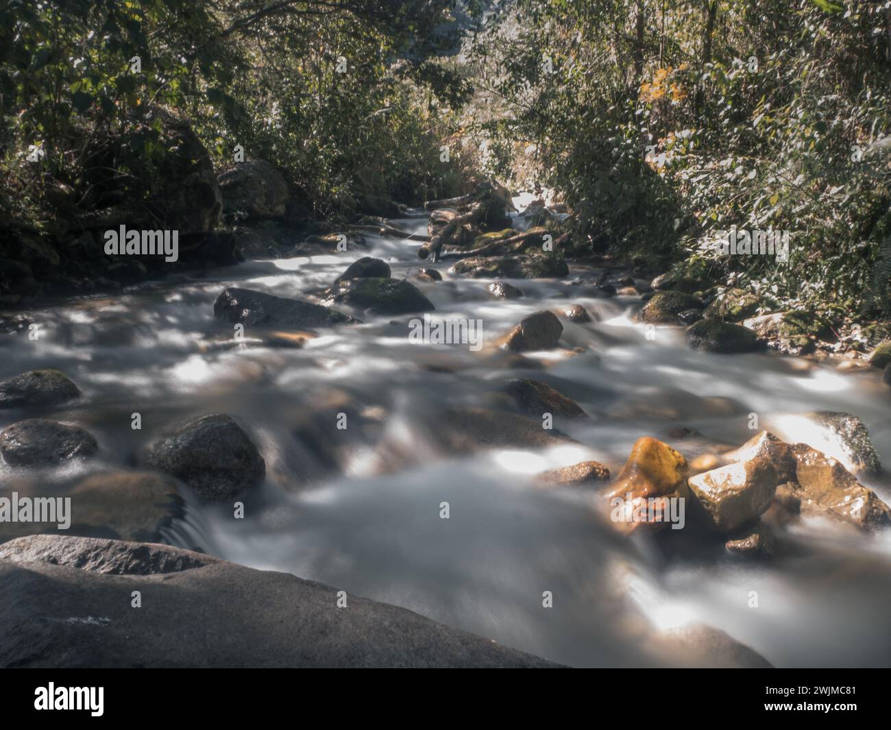 Slow motion bubbling creek hi-res stock photography and images - Alamy