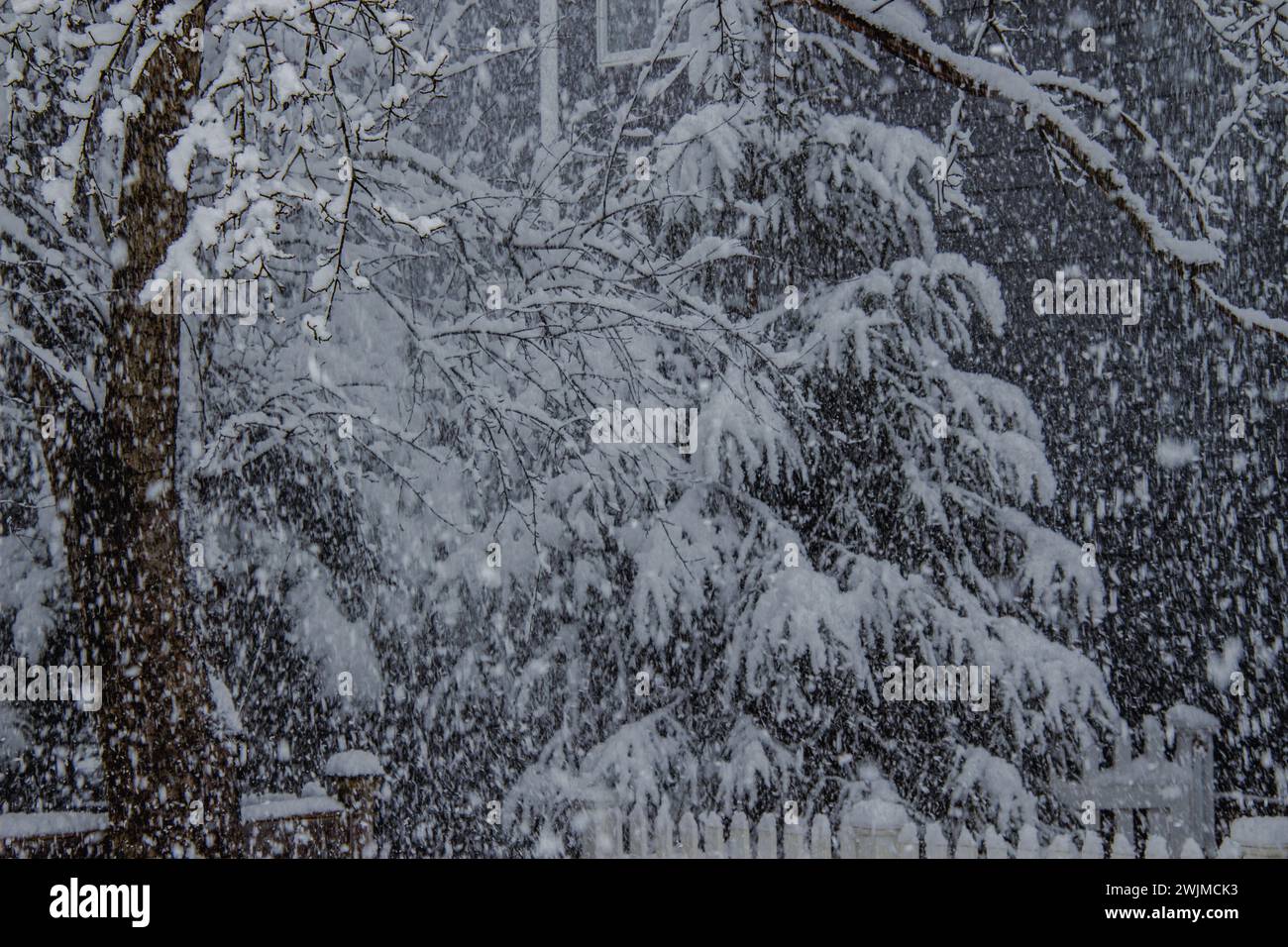 A Snowfall on trees in a snowy landscapel Stock Photo - Alamy
