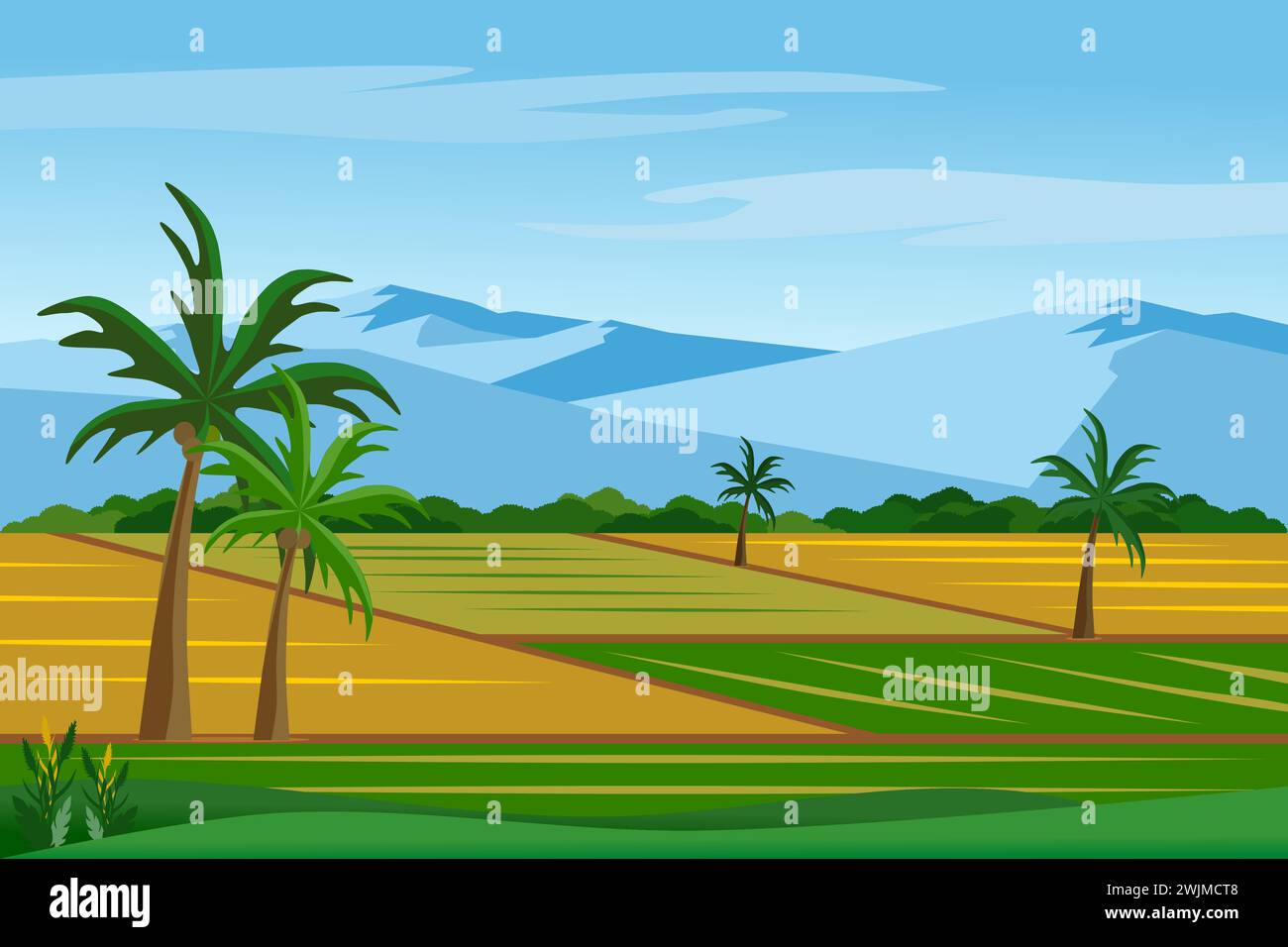 Beautiful rice and paddy fields landscape with mountains vector illustration. A view of a ...