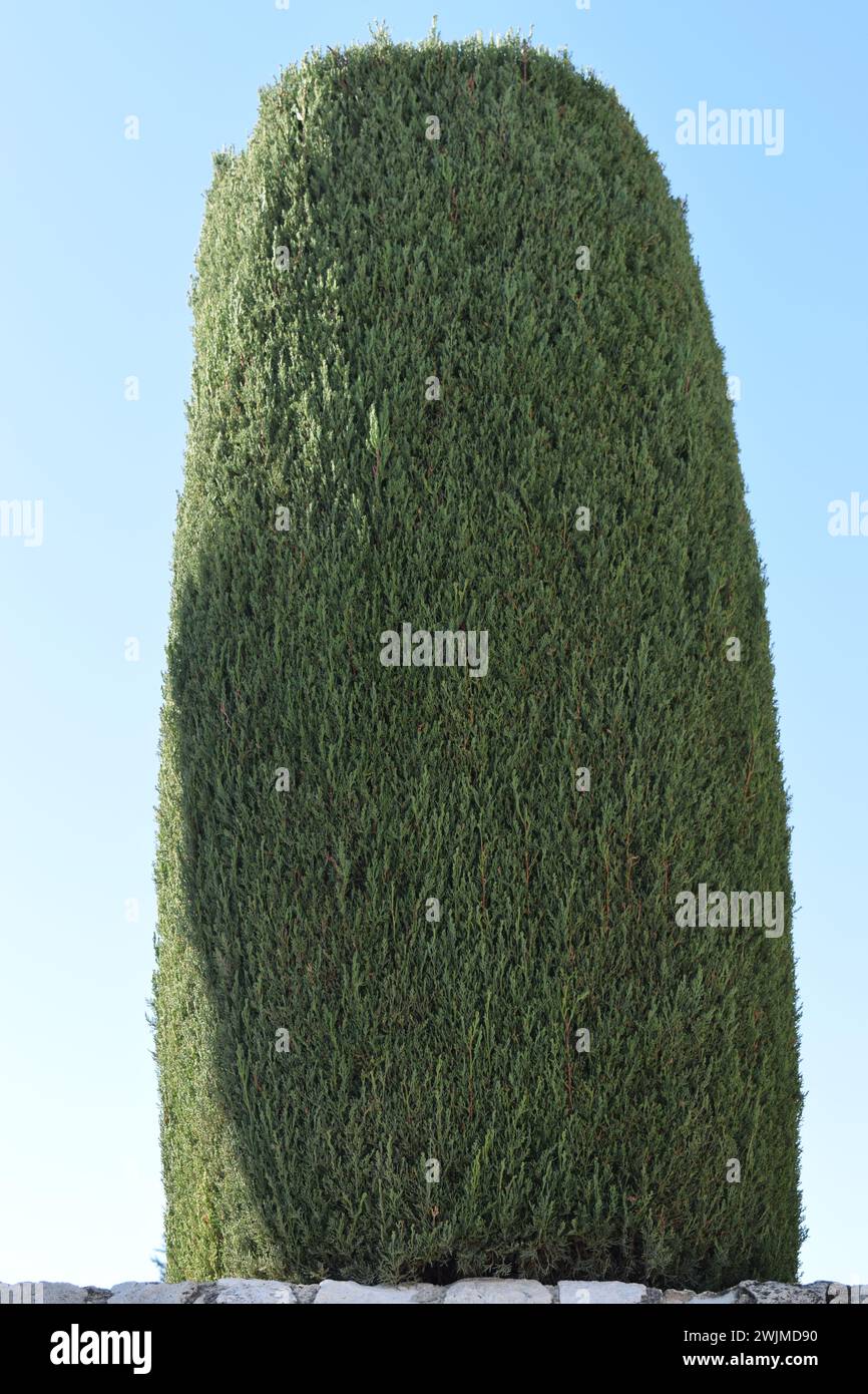 Pillars row hi-res stock photography and images - Alamy