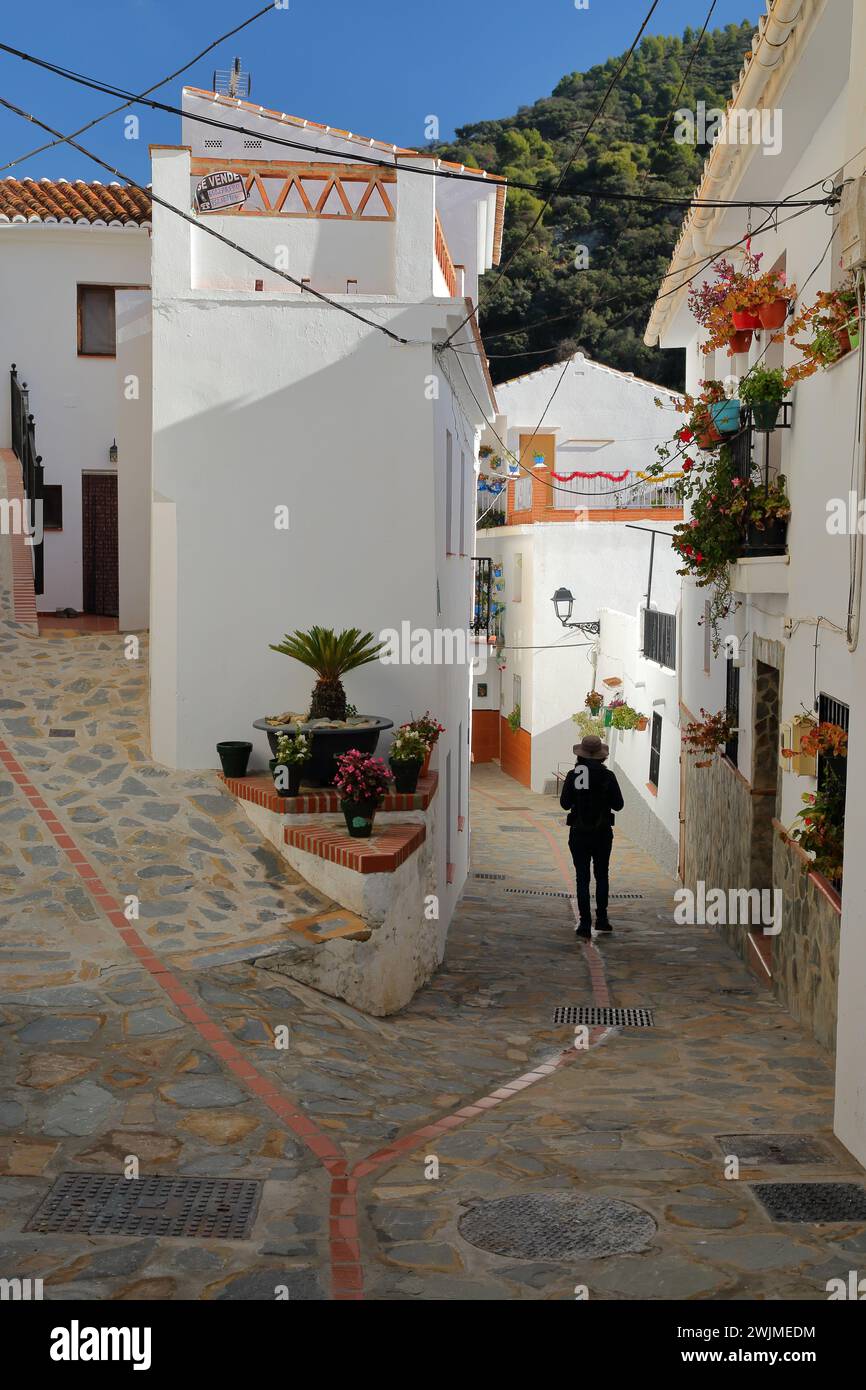 Picturesque narrow and steep cobbled alleys in Salares, Axarquia ...