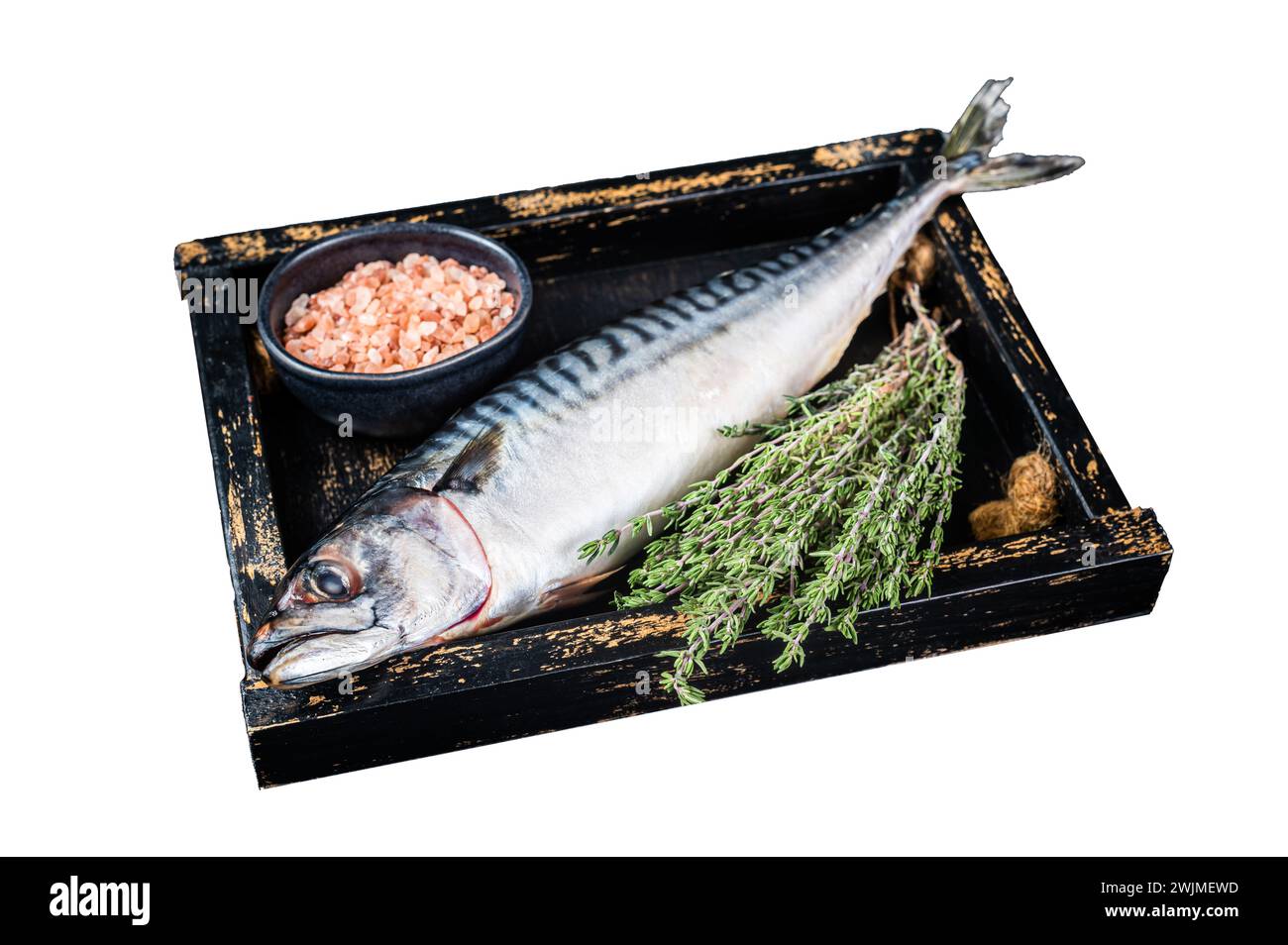 Raw mackerel fish with herbs and spices in wooden tray ready for ...