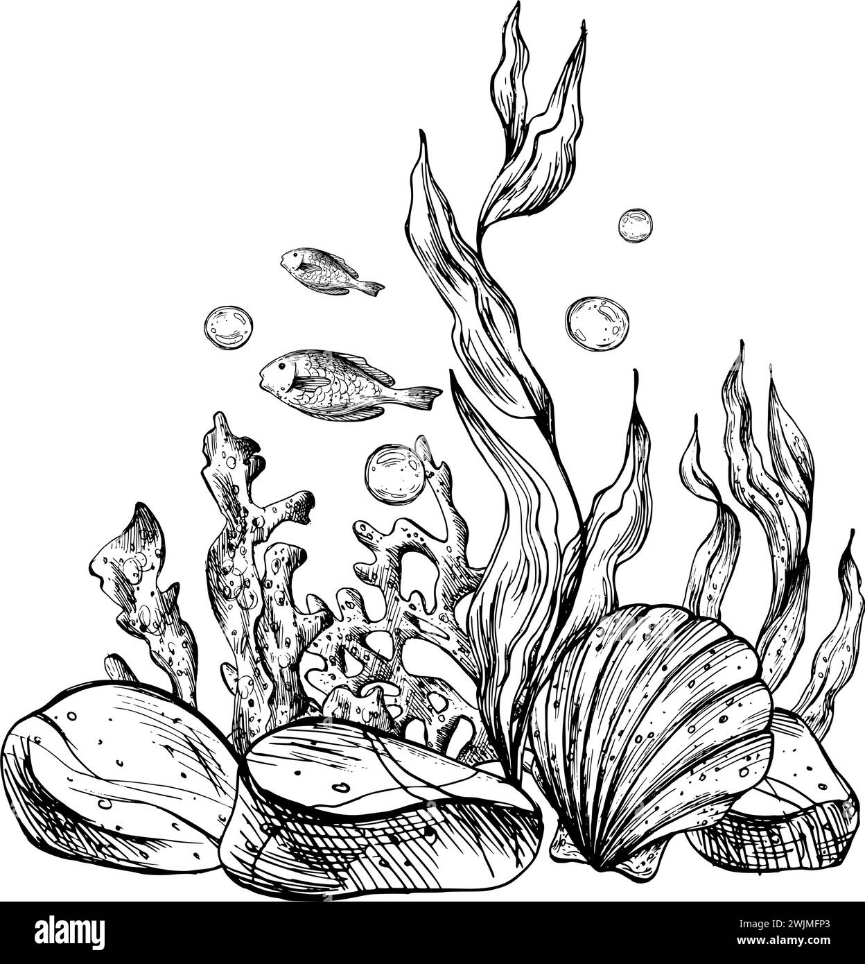 Coral Clipart Black And White Coral Sea Graphic Art Black White