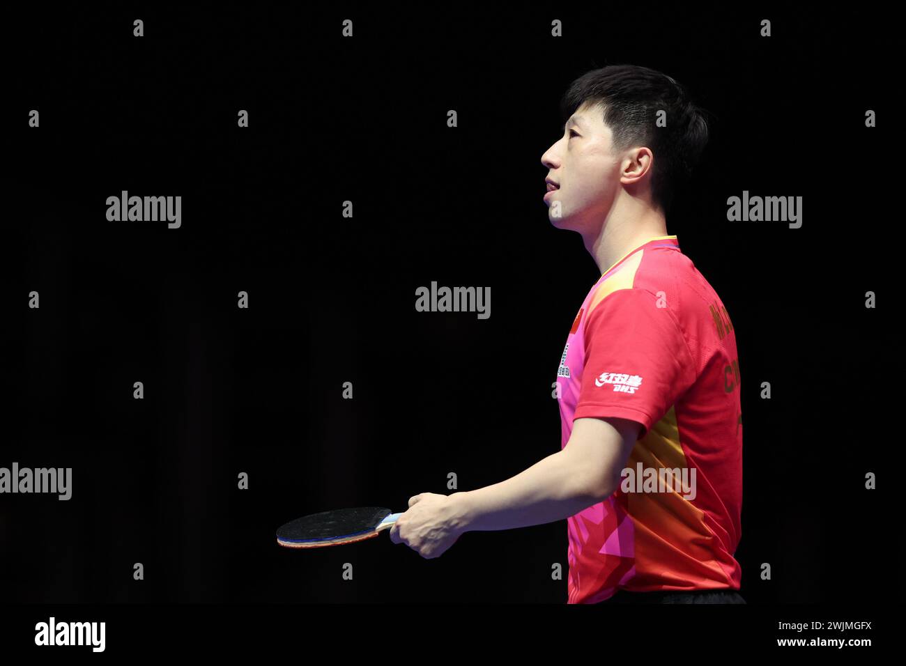 Busan, South Korea. 16th Feb, 2024. Ma Long of China reacts while competing against Martin ...