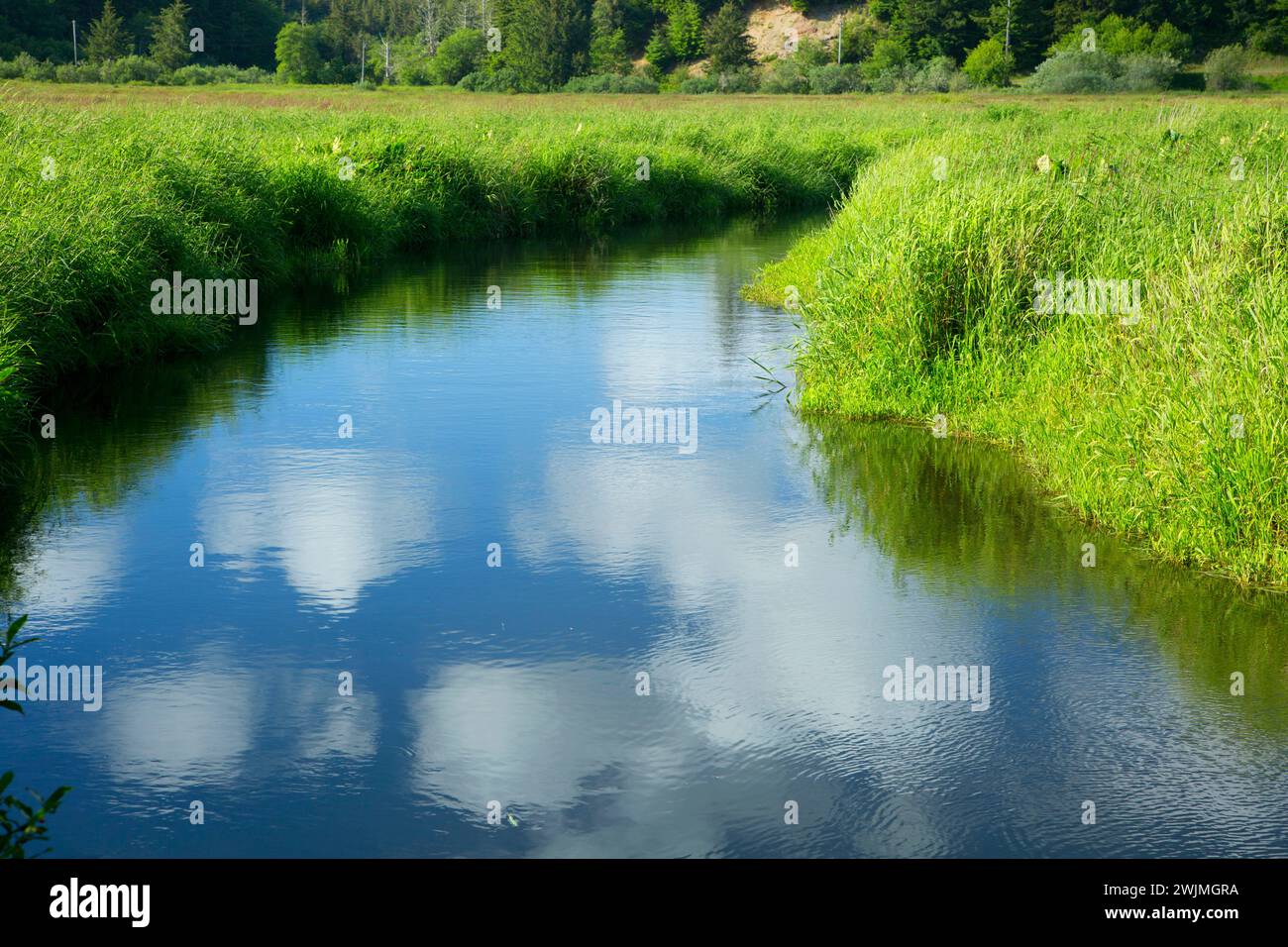 Beaver Creek along Beaver Creek Loop Trail, Brian Booth State Park ...