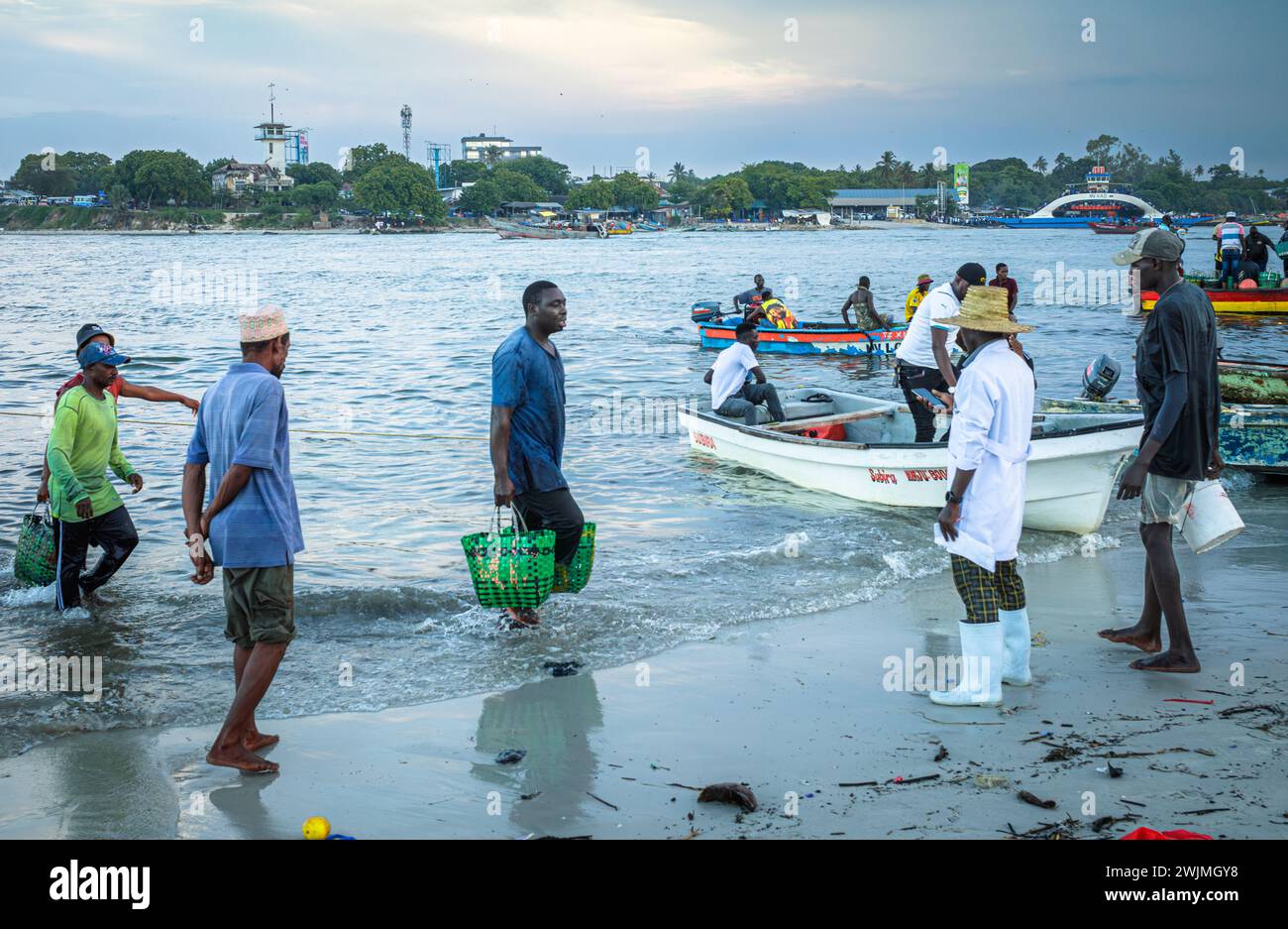 A market inspector watches porters carry bags of anchovy from ...