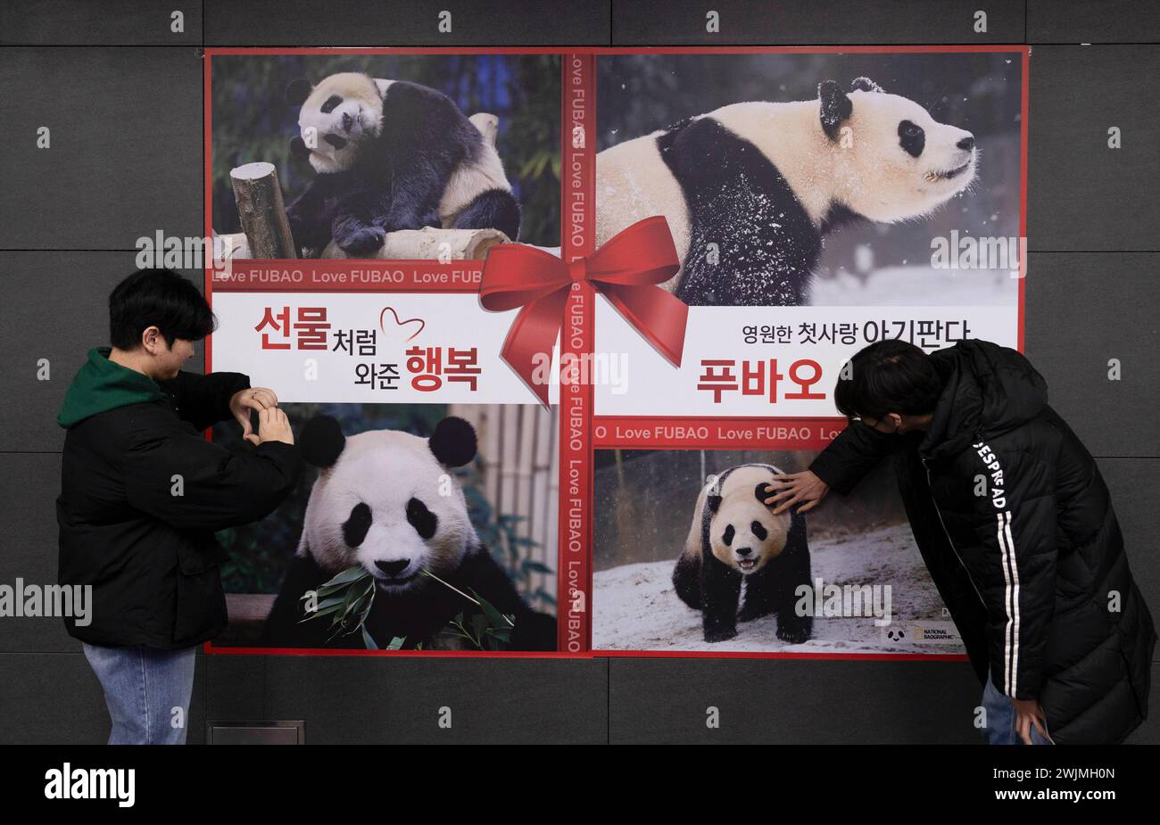Seoul, South Korea. 16th Feb, 2024. People pose for photos with a poster of giant panda Fu Bao ...