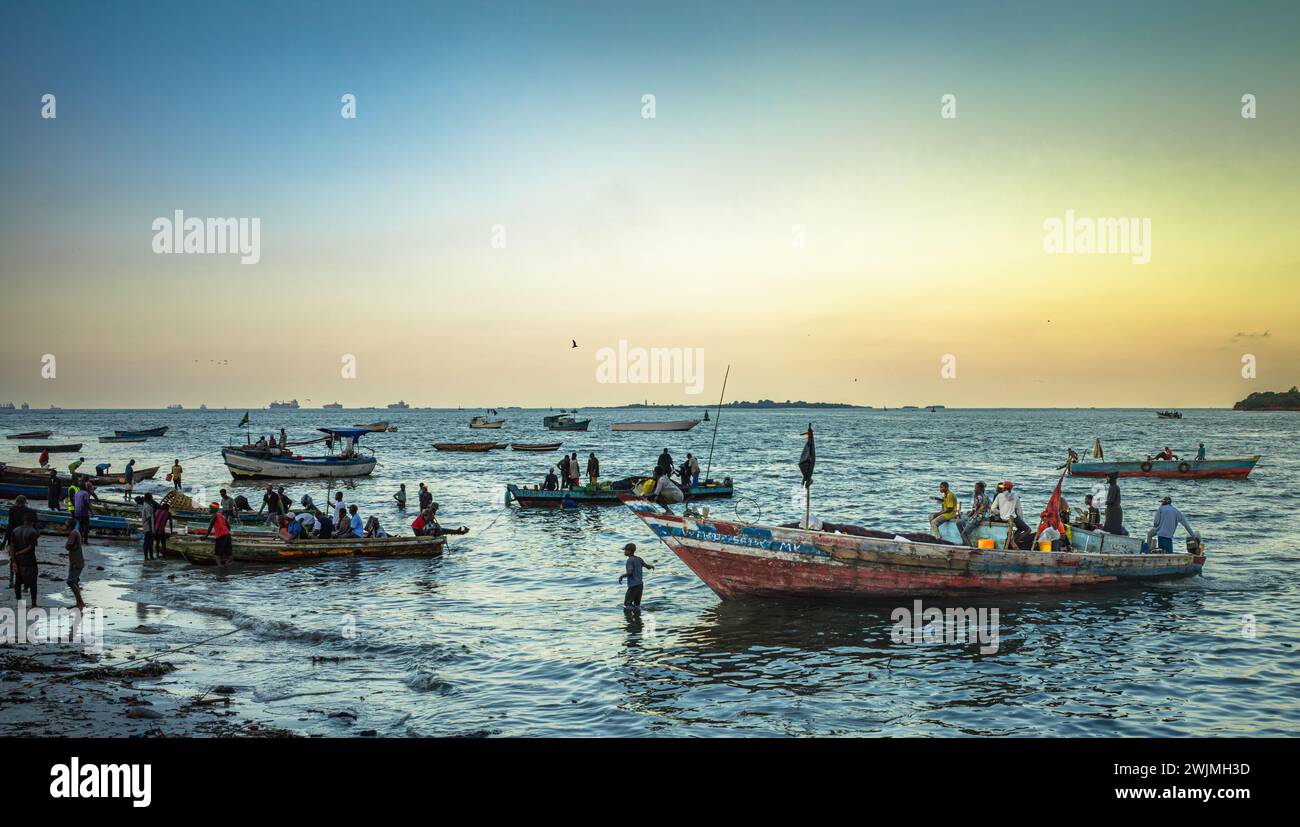 Traditional wooden dhow boats crowded with fishermen arrive to offload ...