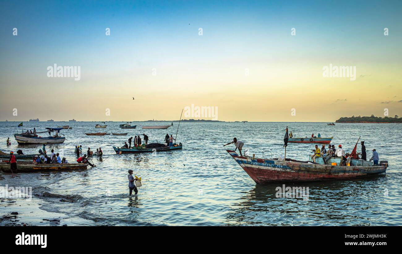 Traditional wooden dhow boats crowded with fishermen arrive to offload ...