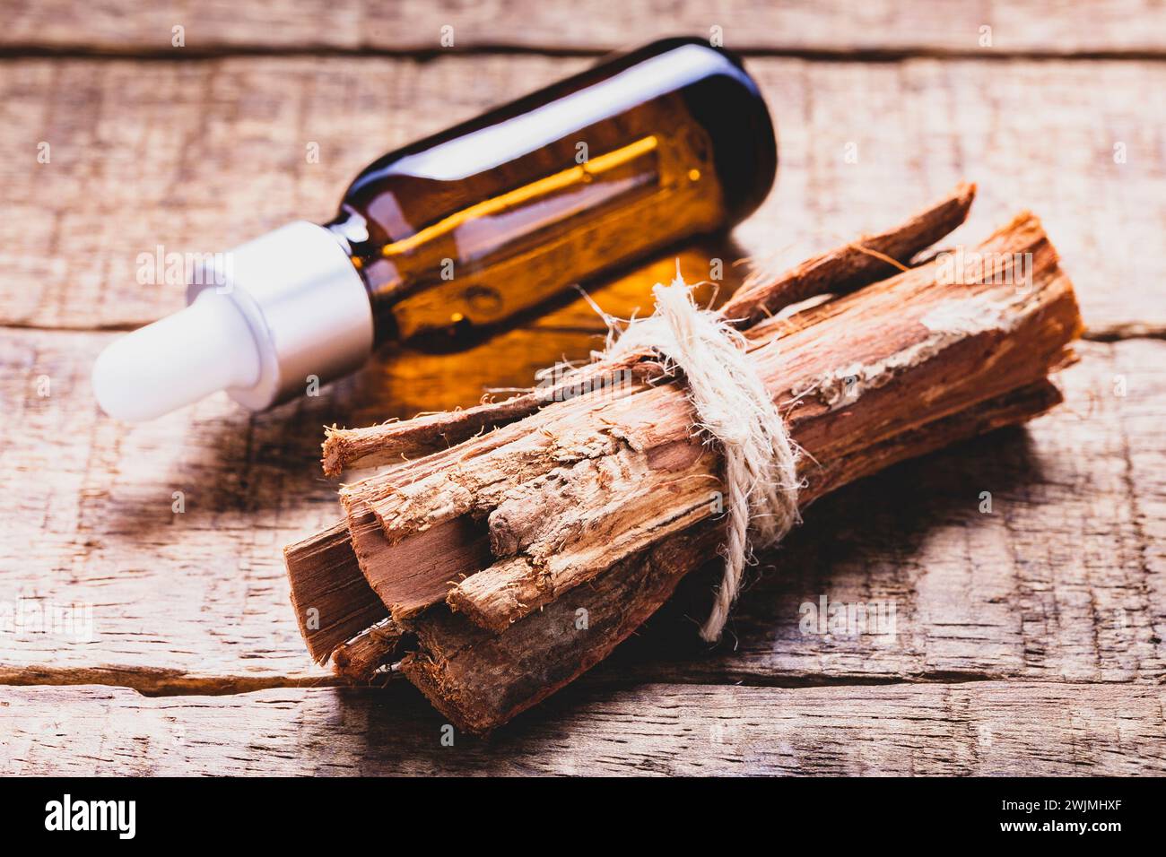 Plant of Amazonian origin, traditional medicine Cat's Claw Stock Photo ...