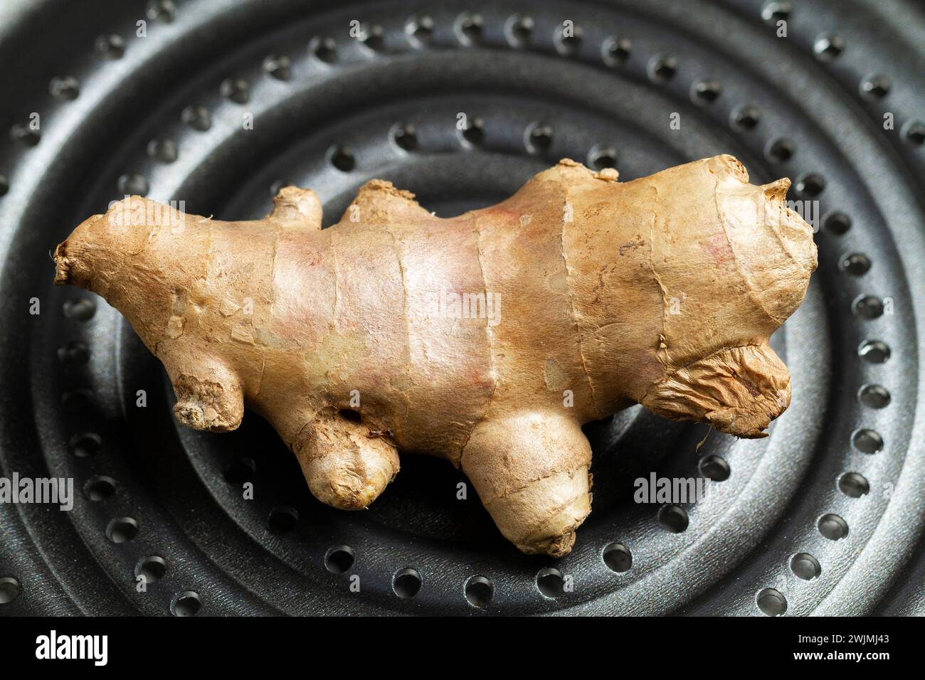 Ginger plant in container hi-res stock photography and images - Alamy