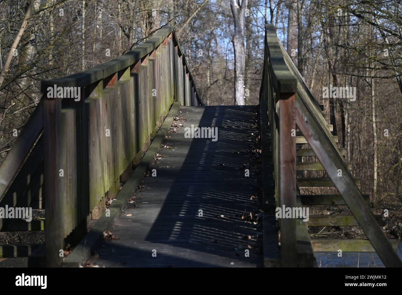 Stren, Czech Republic. 16th Feb, 2024. Pre-spring weather in the ...