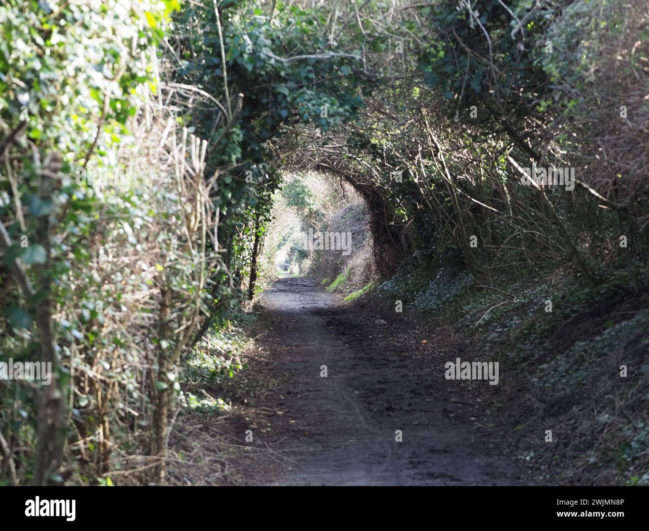 Sheerness 1950 hi-res stock photography and images - Alamy