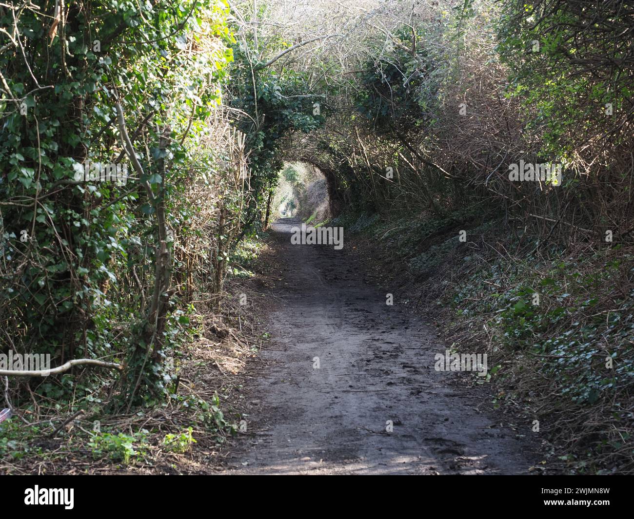 Sheerness 1950 hi-res stock photography and images - Alamy