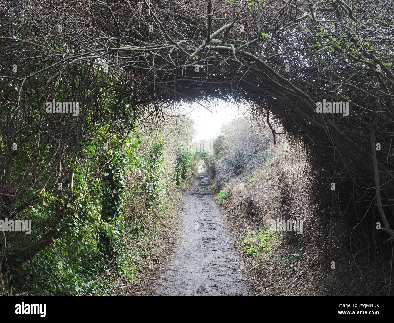 Sheerness 1950 hi-res stock photography and images - Alamy