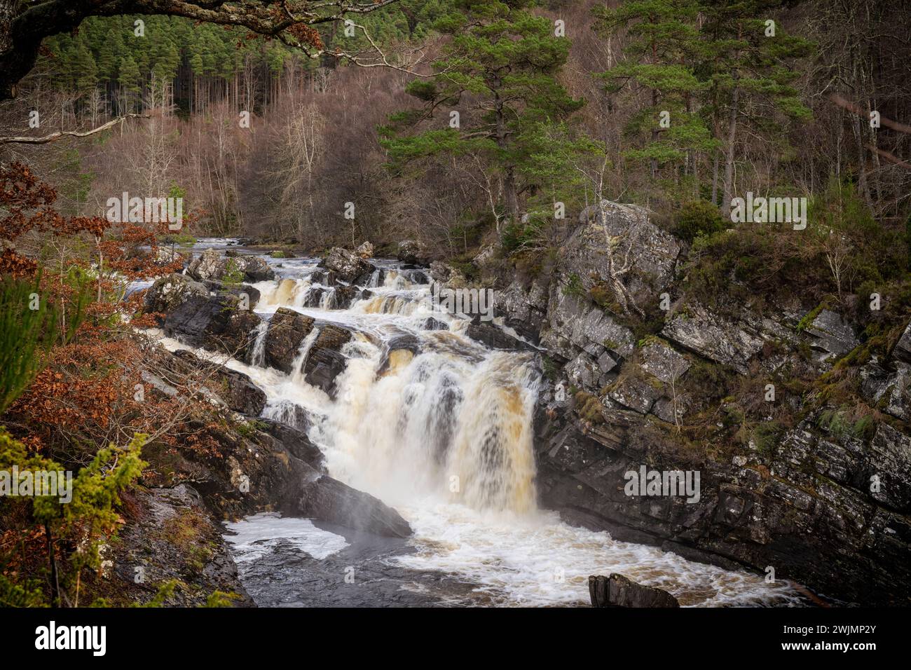 Garve hi-res stock photography and images - Alamy