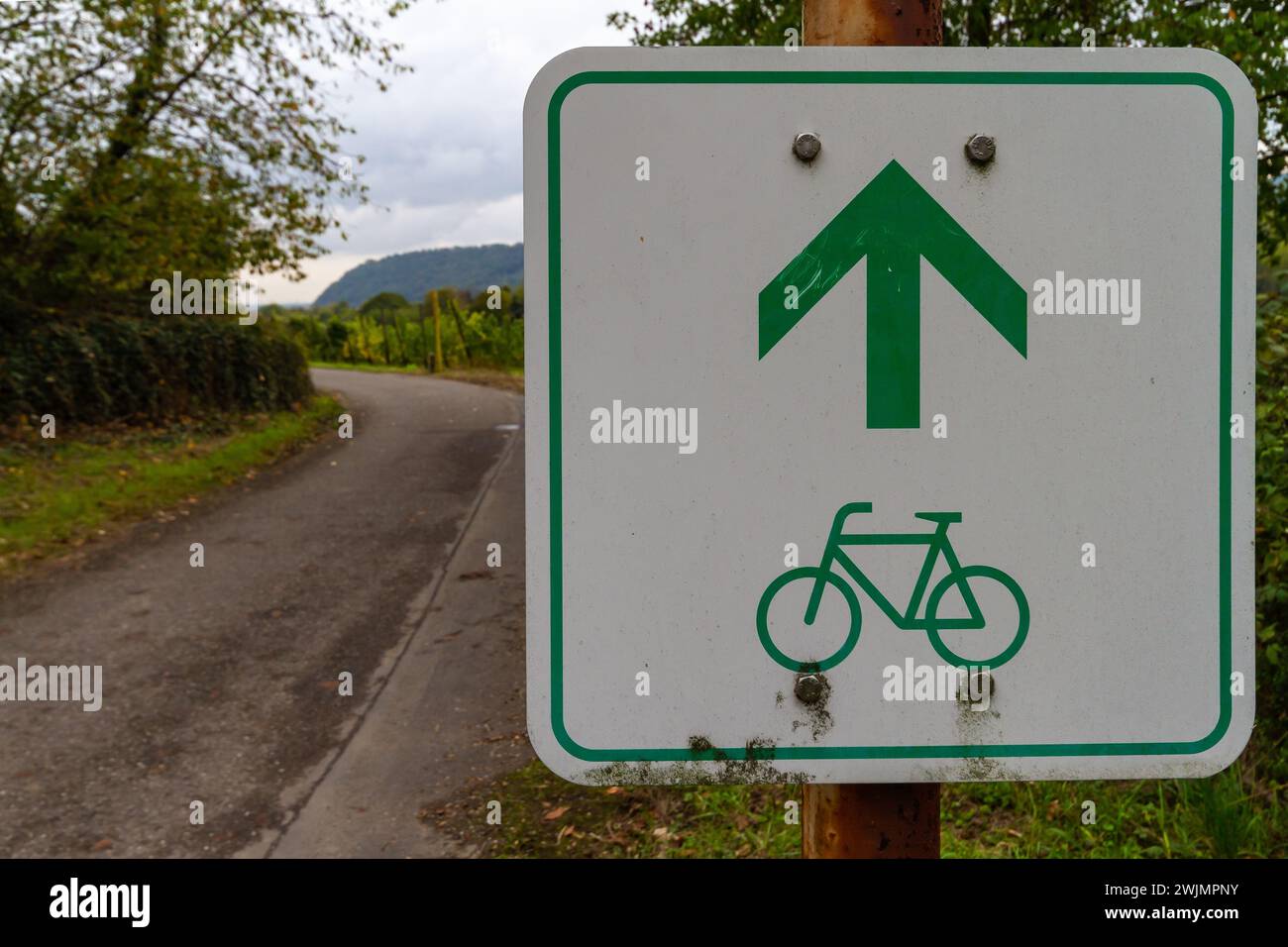 Green directional sign for bikers to ride straight on (blurry ...